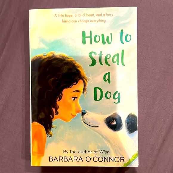 Other | How To Steal A Dog | Poshmark